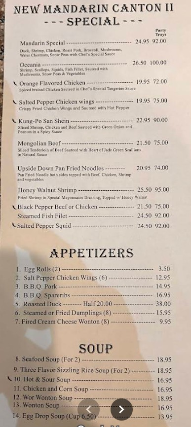 New Mandarin Canton Chinese Restaurant Menu – Full Menu & Prices